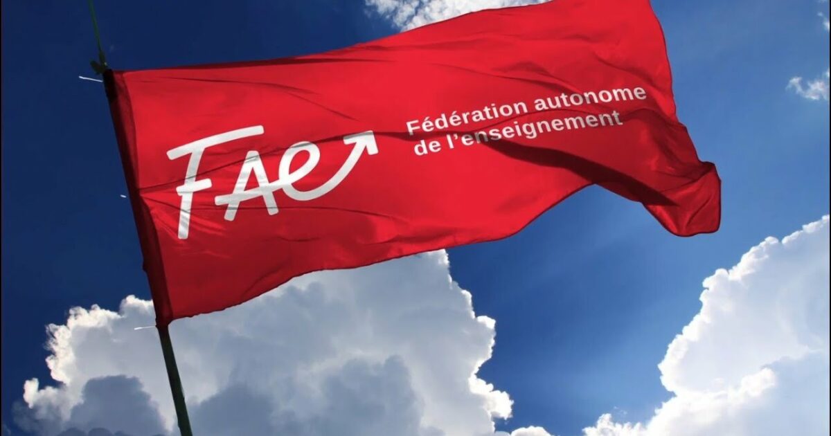 Découvrez la nouvelle identité visuelle de la FAE | Vidéos FAE